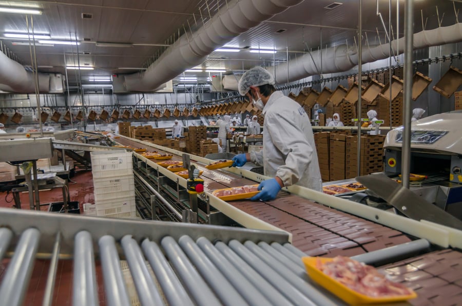 What are the Gearbox Options for Food-Grade Grease?